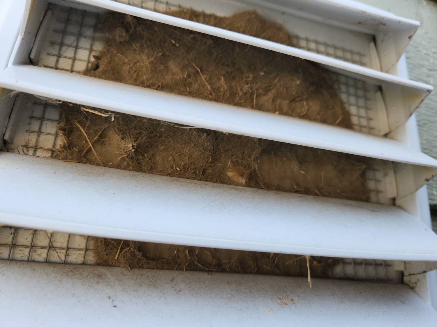 How to Maintain a Heat Recovery Ventilator (HRV) for Optimal ...