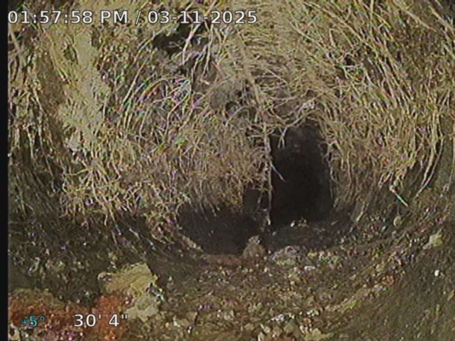 Understanding Orangeburg Sewer Lines: What Homeowners Need to Know ...